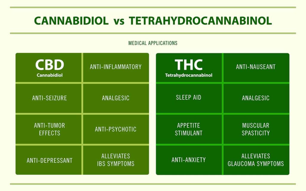 Cbd Vs Thc Understand These Weed Components Completely