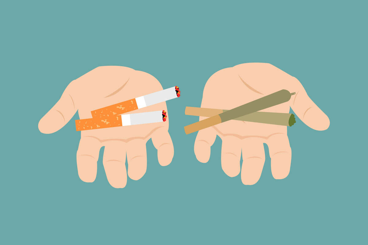 Tobacco vs Marijuana: How Are They Different? - MJ Seeds Canada