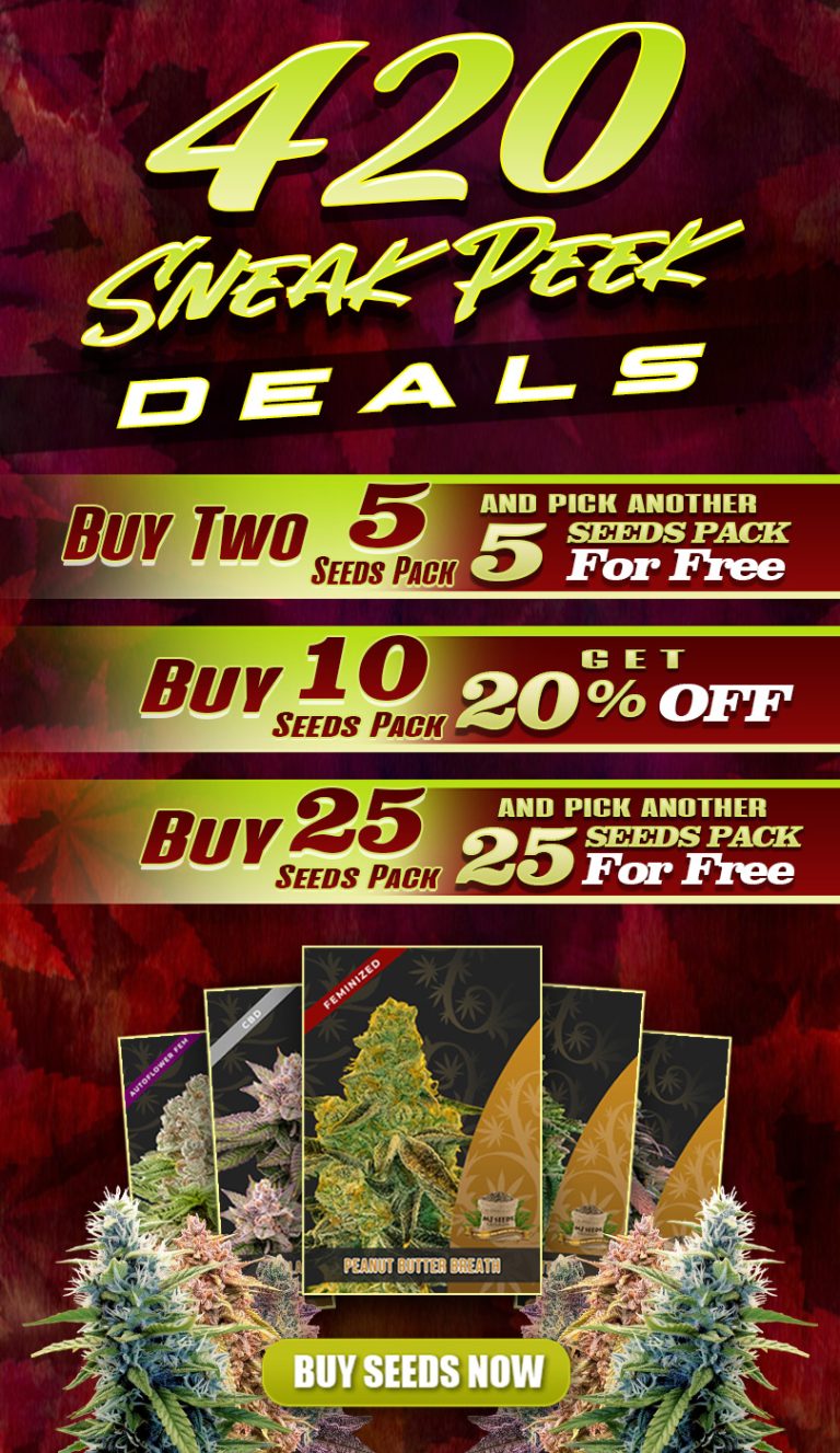 Marijuana Seeds Canada | Cannabis Seeds For Sale | MjseedsCanada